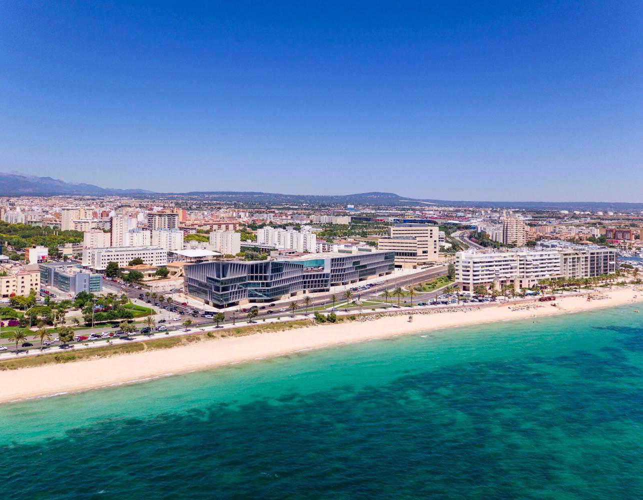 Die Art Cologne expandiert wieder nach Mallorca | Monopol